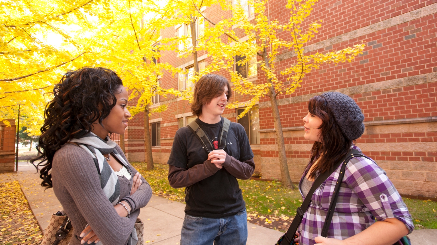 On-Campus Work Experience Network (OWN) Program | Career Exploration ...